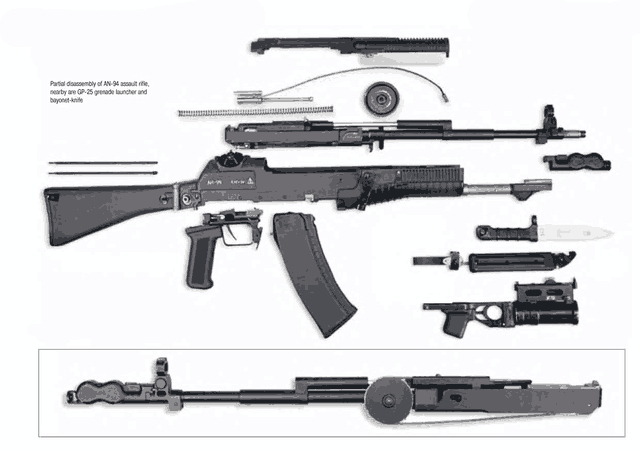 中国专家刚决定仿制AN94淘汰95步枪, 该枪就被俄国全面撤装