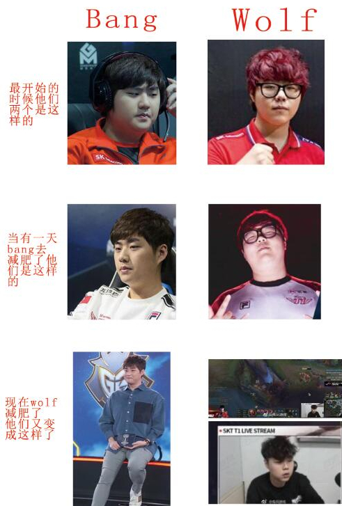 SKT下路永远质量守恒？Bang变胖后Wolf却瘦了回去