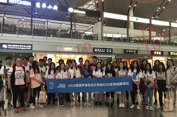 罗德岛招生官解析命题，ACG x RISD夏季研学在线直播即将发车~~skr