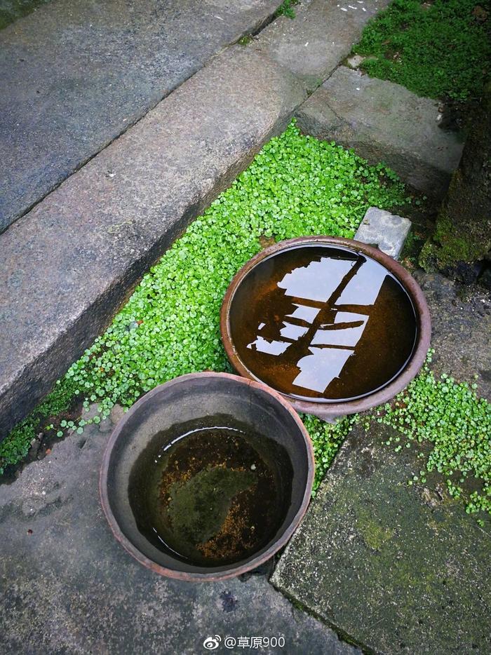 对,没打错字,这里叫做种玊上围