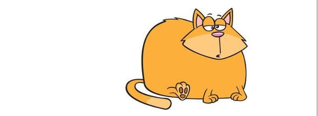 如何拼写英语形容词的比较级与最高级