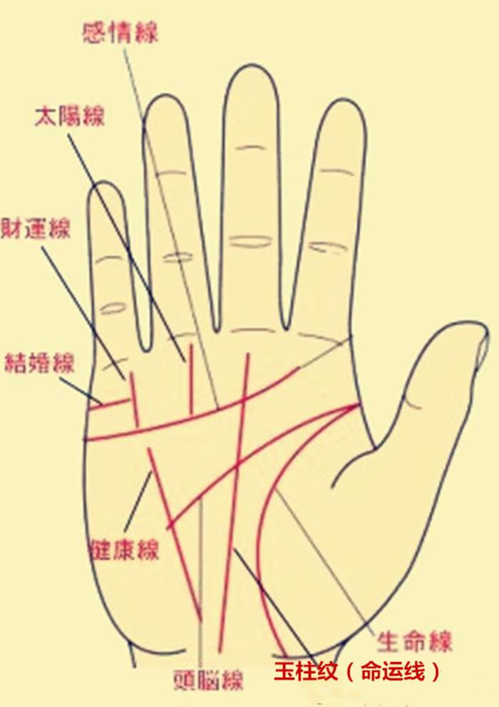 手相中三大主线以及其他重要纹理的解析!