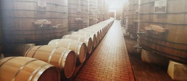 葡萄酒酿造过程 WINE MAKING PROCESS