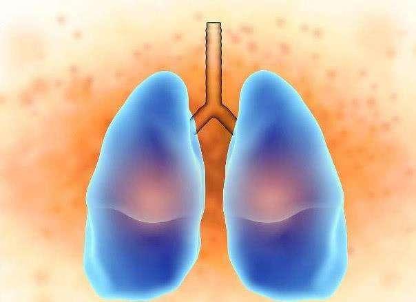 长期吸烟的人注意了！常用它泡水喝 排出烟毒 清肺又养肺