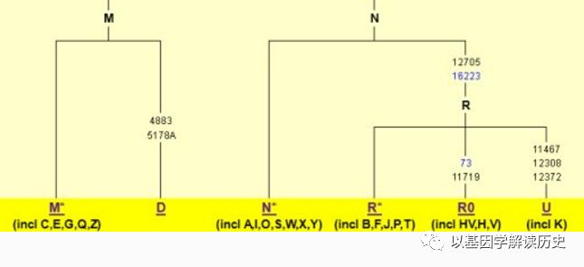 汉族母系基因分析：汉族女同胞的祖先来自 3 个地方 云南 汉族 祖先 新浪新闻