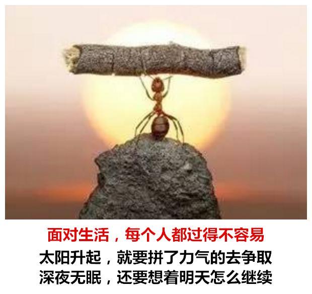 生容易，活容易，生活真的不容易！
