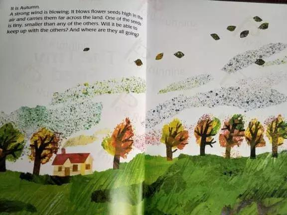 绘本故事：小种子《The Tiny Seed》厚积薄发的生命之旅