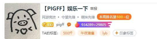 国服《守望先锋》第一人！斗鱼主播Pigff再度直播OW