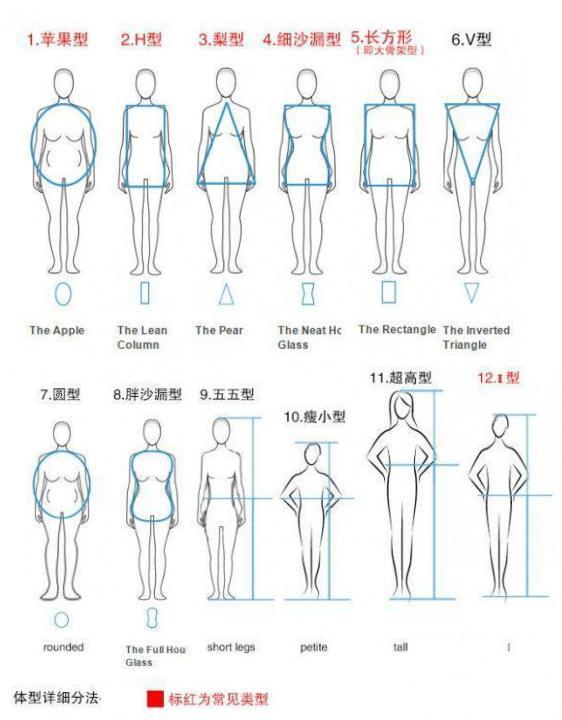 女性12种体型分析，自测你是哪一种？看看吧 沙漏 体型 身材 新浪新闻