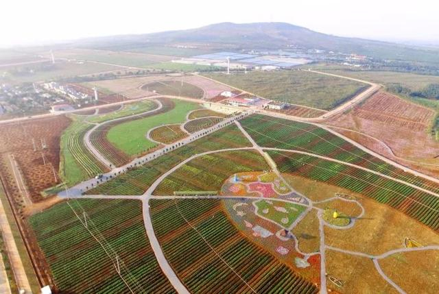 菜吧：Mokumoku农场--最成功的田园综合体年入50亿