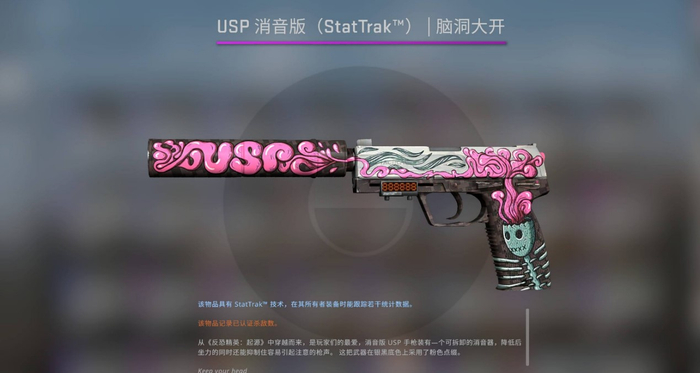 CSGO皮肤推荐：100块以内的USP选什么，它因贴纸成为大佬最爱