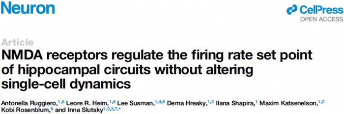 Neuron：深入揭示海马NMDA受体调控新机制|突触|神经元|小鼠|活动|氯胺酮_新浪新闻