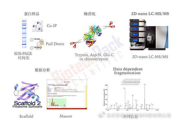 蛋白组测定方法：研究中如何选择合适的质谱分析技术？|质谱仪|质谱|蛋白质_新浪新闻