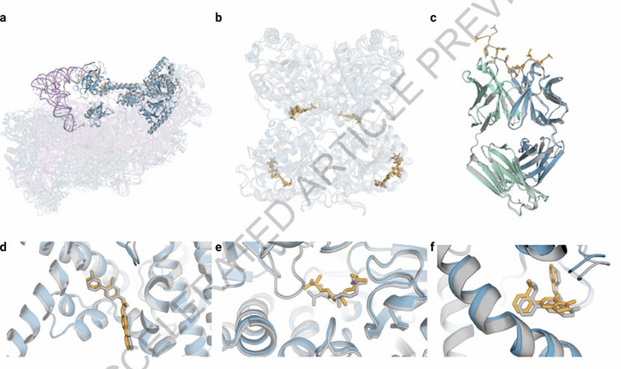 AlphaFold3：生物分子预测的大一统工具？