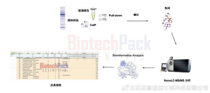 揭秘免疫共沉淀Co-IP：如何挖掘蛋白质相互作用的秘密|蛋白质|免疫|质谱_新浪新闻