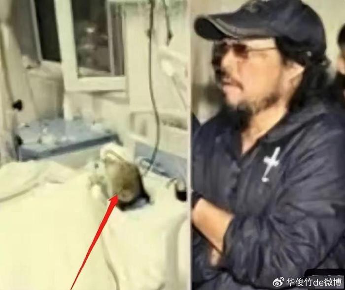 曝67岁费玉清病危昏迷,抢救无效不幸去世,亲姐发声怒斥谣言