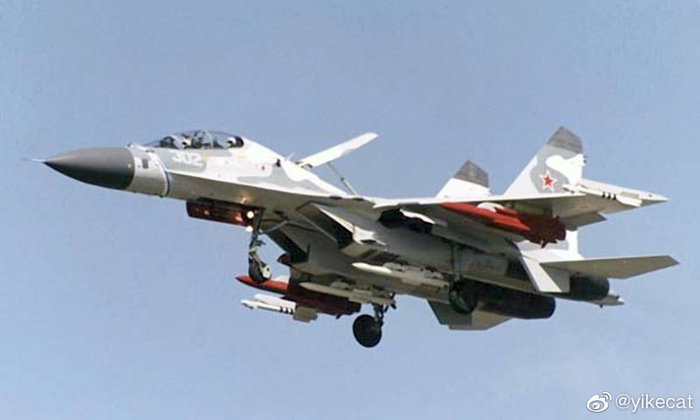 Сухой Су-30/Sukhoi Su-30系列多用途战斗机——综述|苏联_新浪新闻
