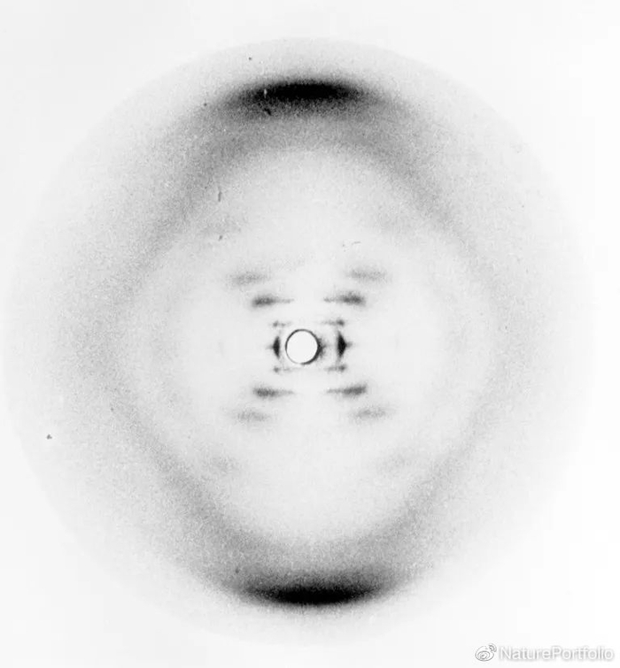 剽窃or借鉴？还原DNA双螺旋结构发现的真相 |《自然》长文|富兰克林|沃森|克里克_新浪新闻