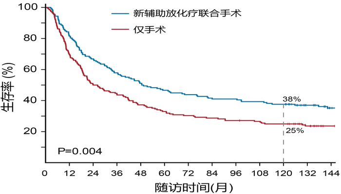 点评CROSS研究10年结果及CheckMate 577