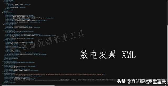 PDF、OFD、XML，数电发票三种原件格式应该怎么选？|电子|格式|发票_新浪新闻
