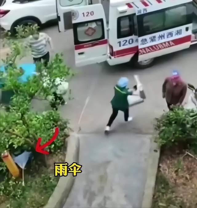 4岁男孩撑伞跳落26楼生还，这个奇迹是怎样发生的？撑伞生还动画片新浪新闻