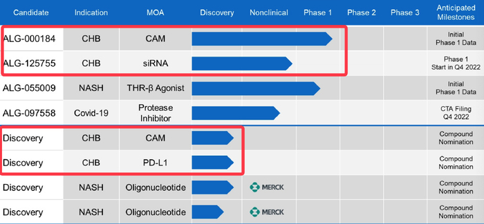 乙肝AASLD2022，Aligos制药点评，CAM/siRNA等候选药物及未来计划