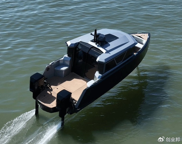 印度裔女博士造出会飞的电动船，马斯克抢着试驾|伊隆-马斯克|印度|船舶_新浪新闻