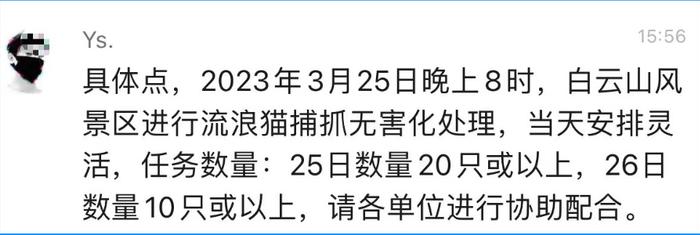 急！虐猫团伙要对广州猫咪下手了！求扩散！