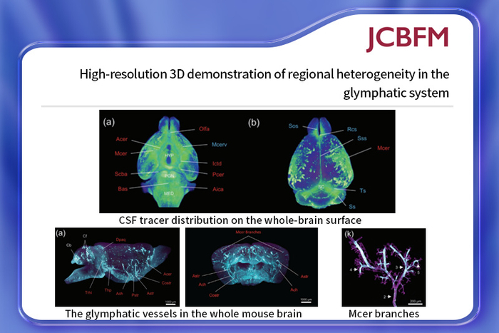 进展汇编：近期应用国产成像技术fMOST的14篇重要学术成果|汇编|神经元|小鼠_新浪新闻