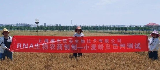 全球首款喷洒型RNAi农药Ledprona拟登记！基于RNAi技术的生物农药|绿色农药|害虫|杀虫剂_新浪新闻