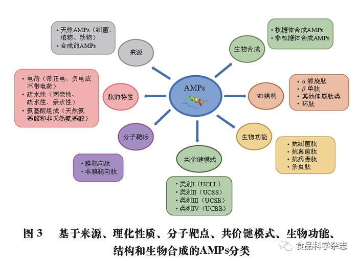 朱兰兰教授等:海洋生物活性肽生物学和功能特性的研究进展抗氧化抗癌多肽新浪新闻