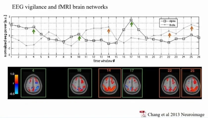 静息态EEG与静息态fMRI：合而不同