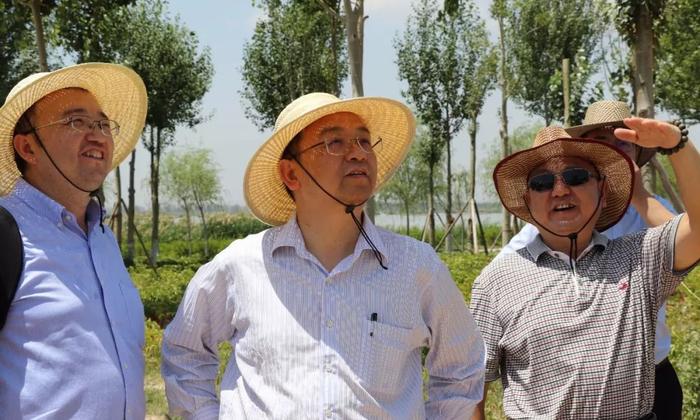 王传福被嫂子养大 他成名后让嫂子进入比亚迪高层 嫂子却拒绝了