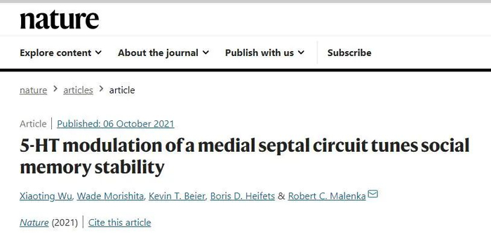 Nature：五羟色胺（5-HT）调控社交记忆的稳定性，研究发现新的神经环路机制