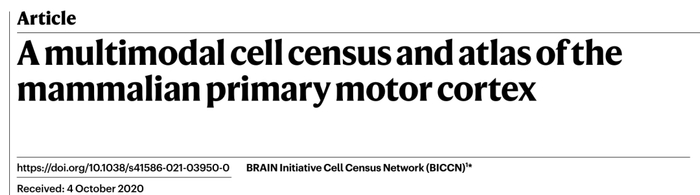 Nature系列重磅成果发布：大脑运动皮层的细胞图谱！国产fMOST技术助力多篇研究