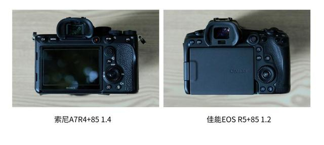 动物眼部对焦，佳能EOS R5和索尼A7R4哪台相机更胜一筹？