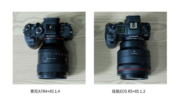 动物眼部对焦，佳能EOS R5和索尼A7R4哪台相机更胜一筹？