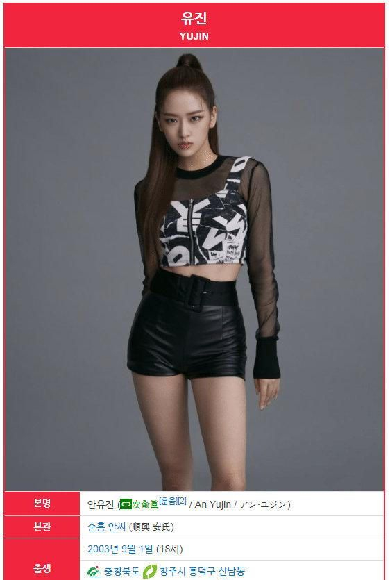 平均身高168.8cm！韩国新女团IVE集结完毕，模特团认证