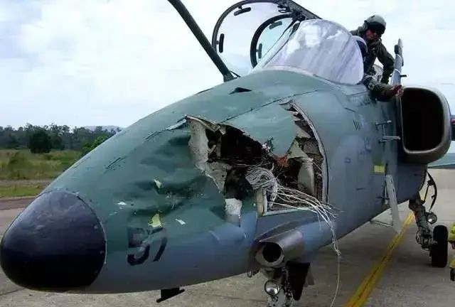 飞机撞上鸟群，为什么会机毁人亡？鸟群真的有那么大的威力吗？