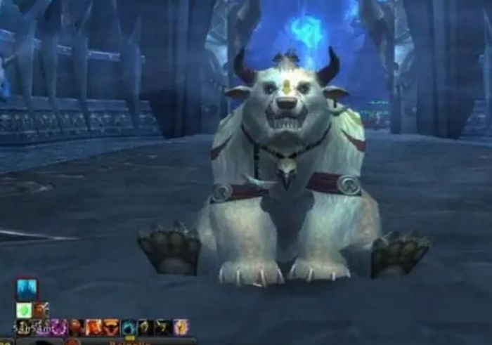 魔兽怀旧服：WLK版本就2个T,别提熊,等ICC有buff再说!