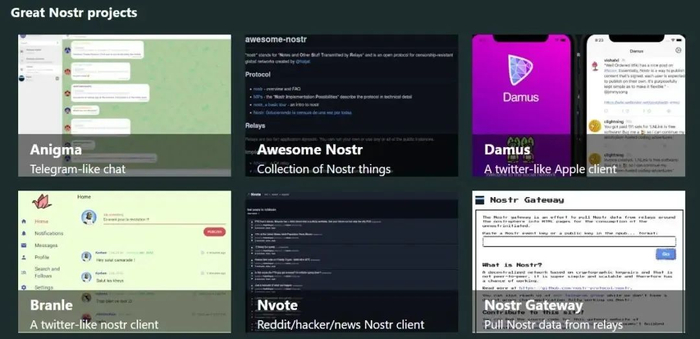 最火的 Web3 社交平台 Damus，一周就变成了「互联网厕所」