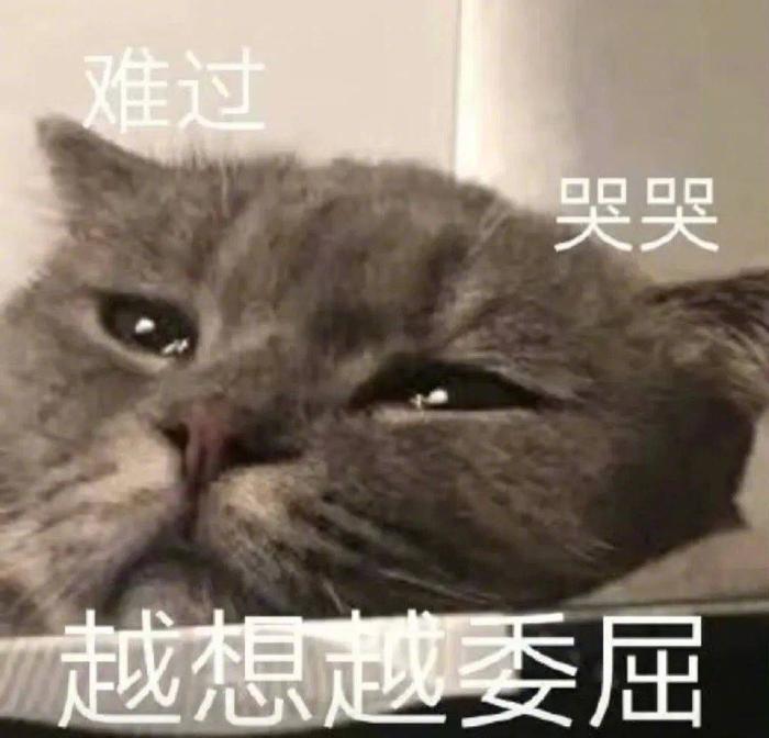 表情包 卑职这就去办 拿图点赞、吱声 卑职 表情包 新浪新闻