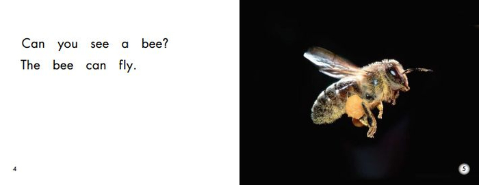 【英文有声绘本】海尼曼G2 02 Things That Fly|绘本