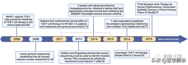 实体肿瘤治疗大杀器：与CAR-T并驾齐驱的TCR-T