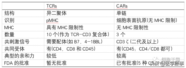实体肿瘤治疗大杀器：与CAR-T并驾齐驱的TCR-T
