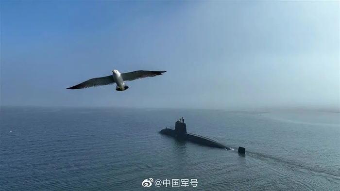 039B高清照曝光！静音蒙皮做工精湛，不愧是国产潜艇的明星产品