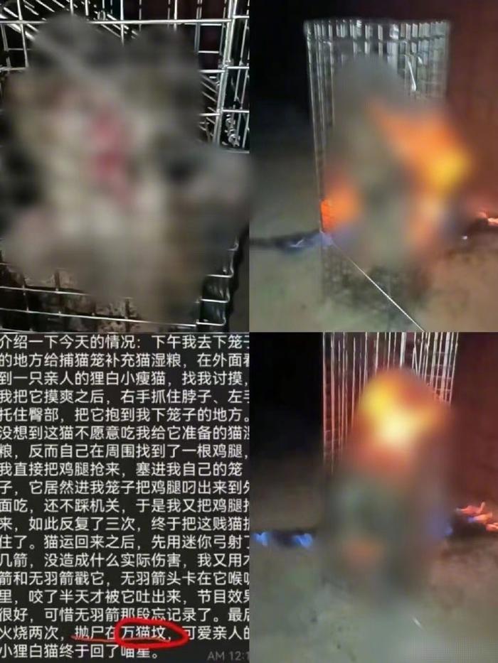 南阳理工学院通报学生虐猫事件