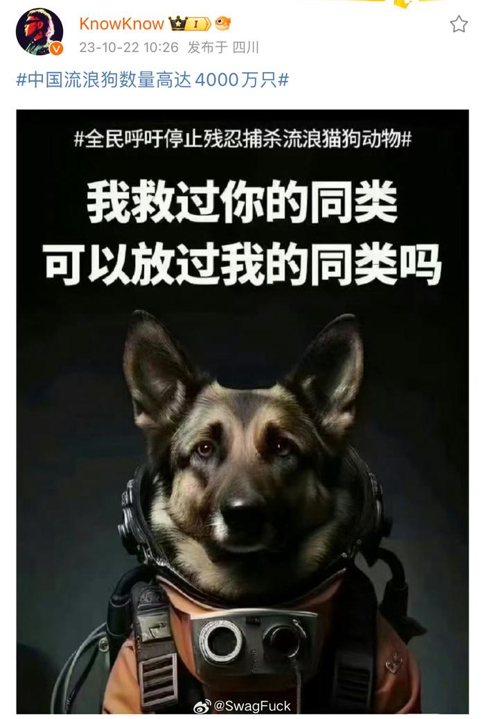 Knowknow为流浪狗发声:我救过你的同类,可以放过我的同类吗?