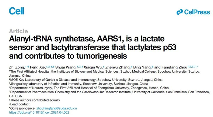 Cell：揭秘肿瘤中的乳酸化修饰！苏州大学周芳芳团队揭示AARS1通过乳酸化p53促进肿瘤发生