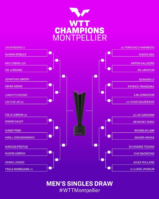 蒙彼利埃冠军赛今日开赛，精彩对决即将上演|蒙彼利埃|冠军赛|郑怡静_新浪新闻